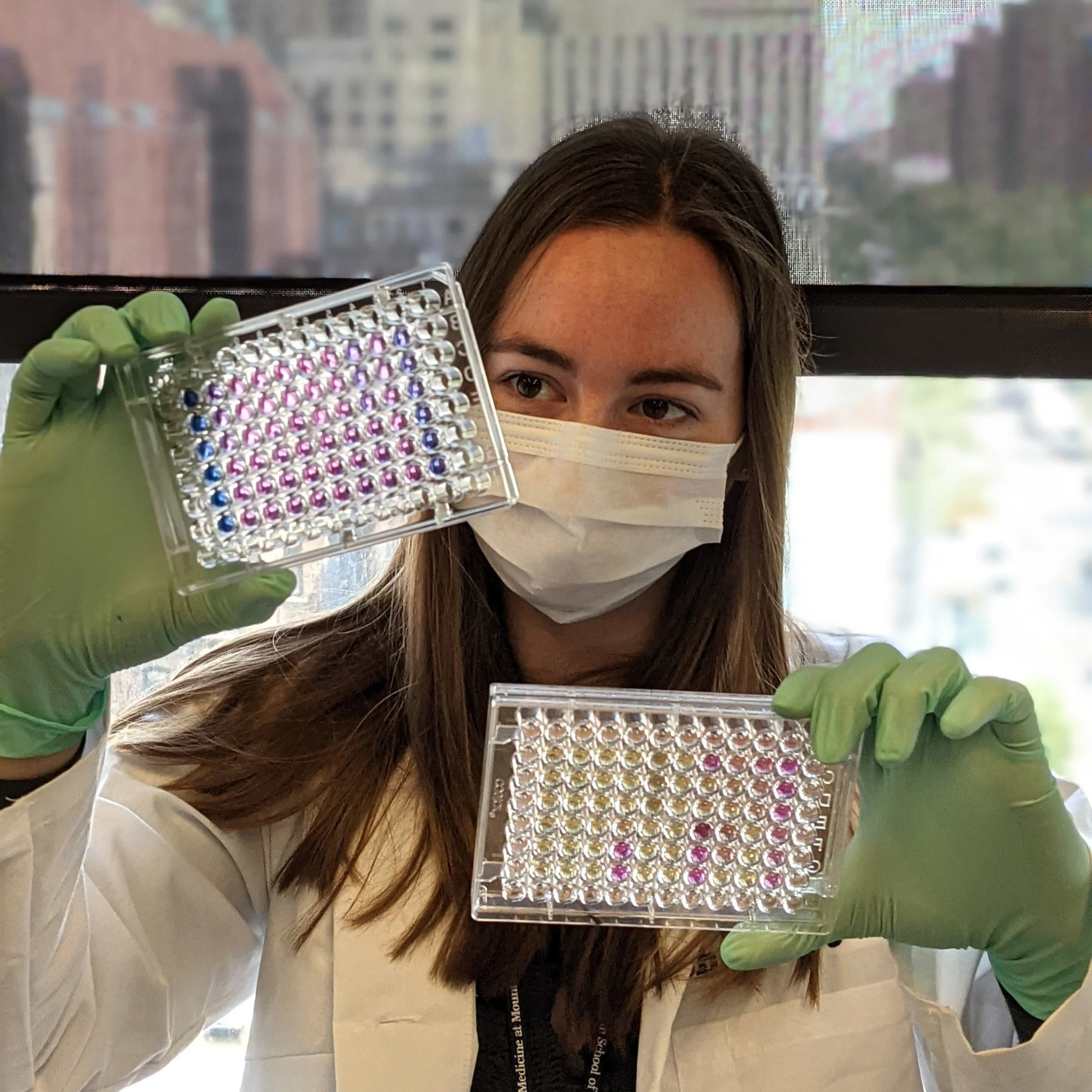 Lab Members — Vabret Laboratory