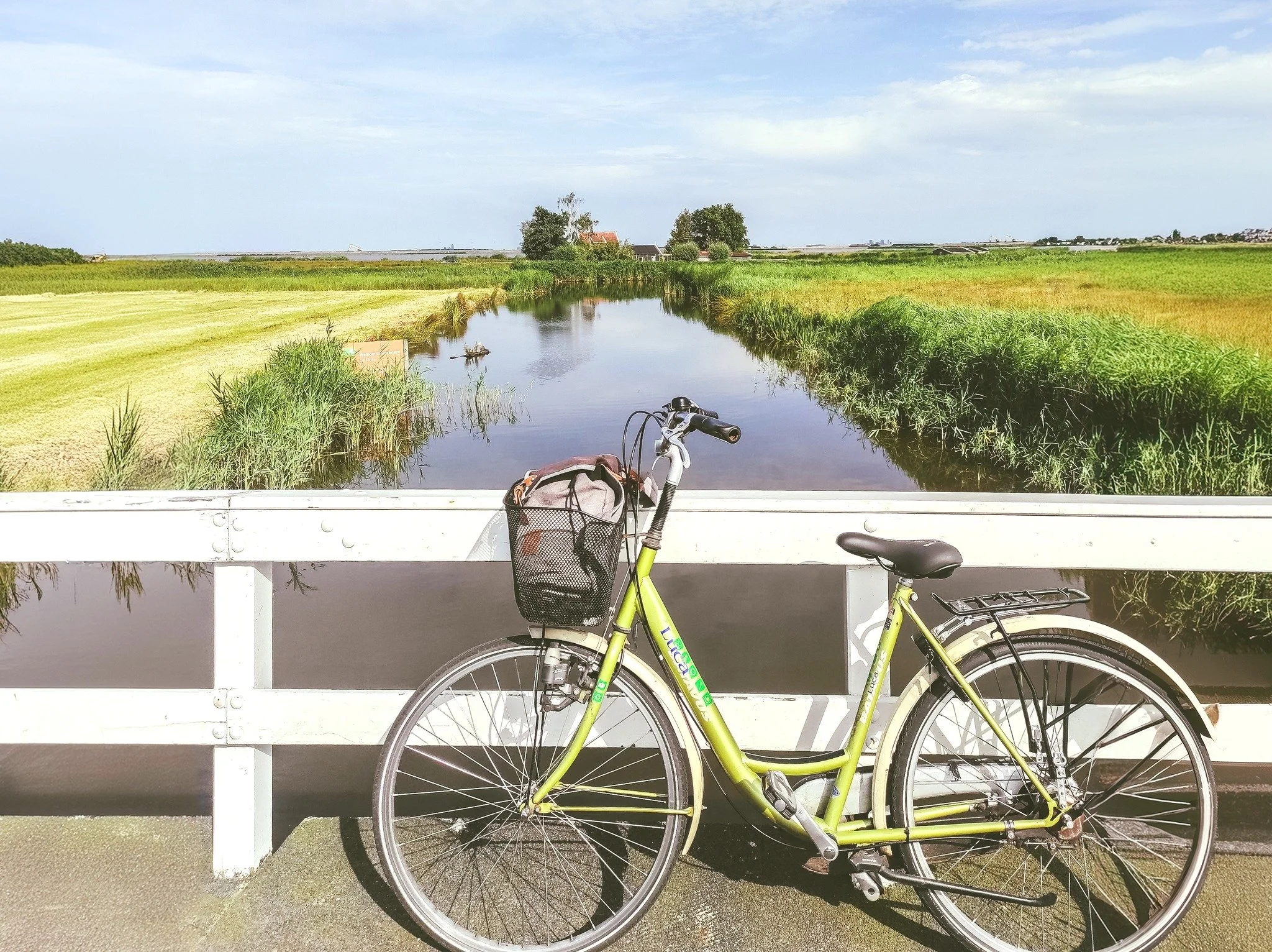 Navigating the Journey (Amsterdamse Bos) — pietschy photography