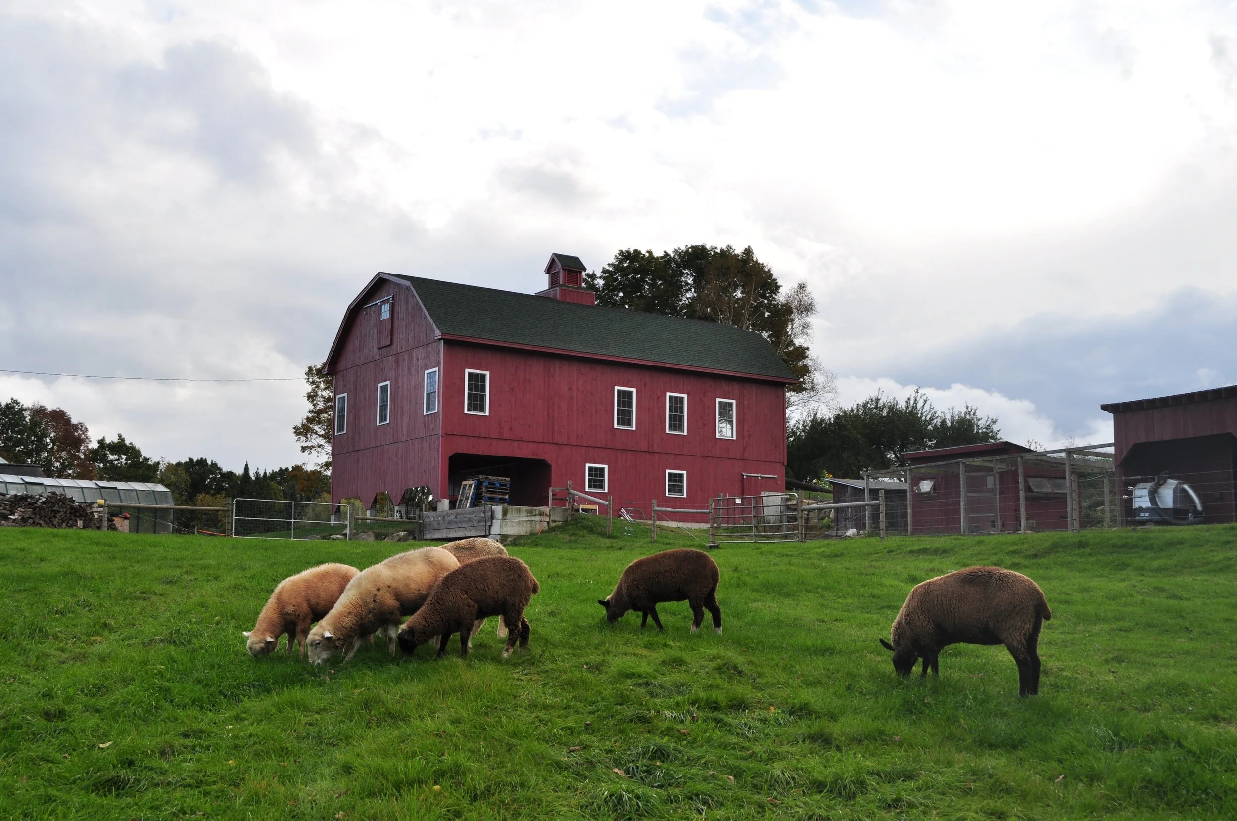 Gap at Glen Brook: Farm and Outdoor Semester Program