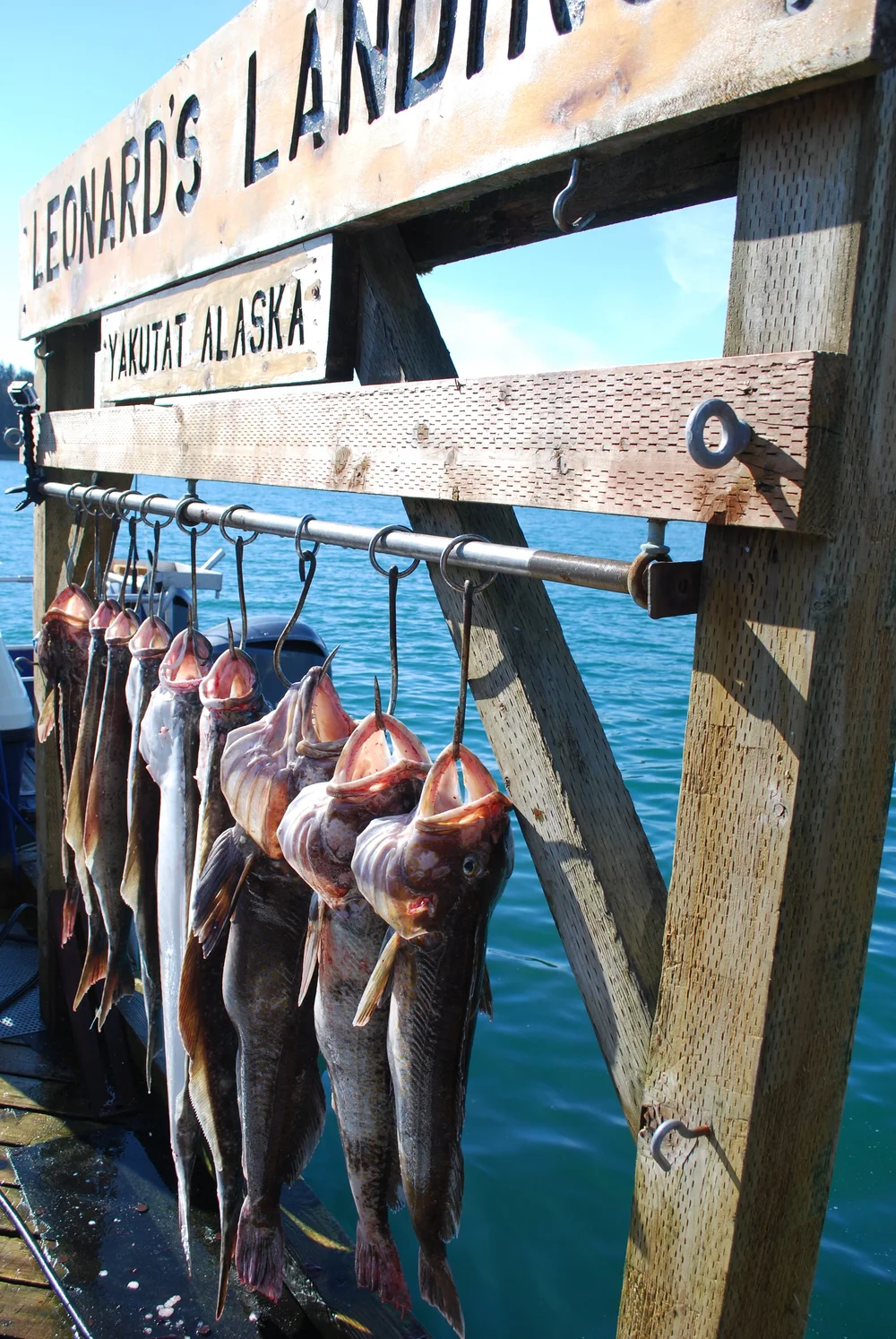 General 6 — Alaska Fishing Lodges | Yakutat AK | Leonard's Landing Lodge