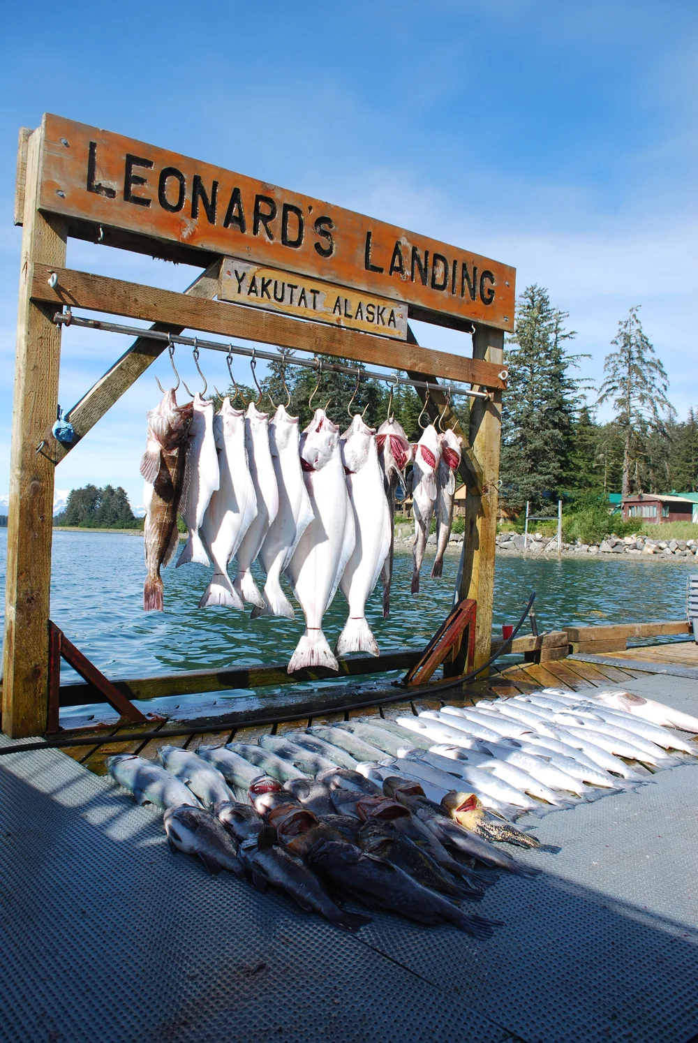 General 6 — Alaska Fishing Lodges | Yakutat AK | Leonard's Landing Lodge