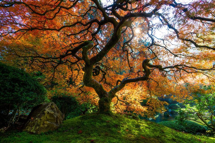 Stephane Couture Photography Travel Photographer based in LA