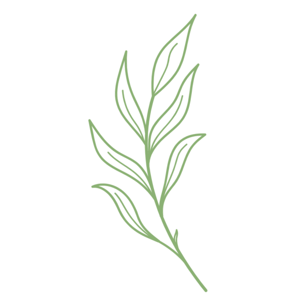 Gaia Midwives | Long Island New York | Home Birth and Hospital Birth ...