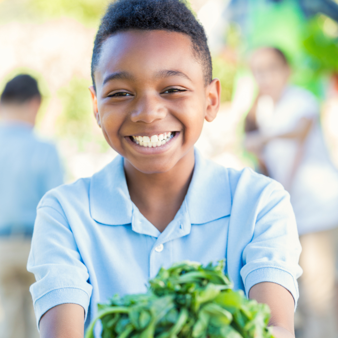 Programs — Virginia Association for Environmental Education