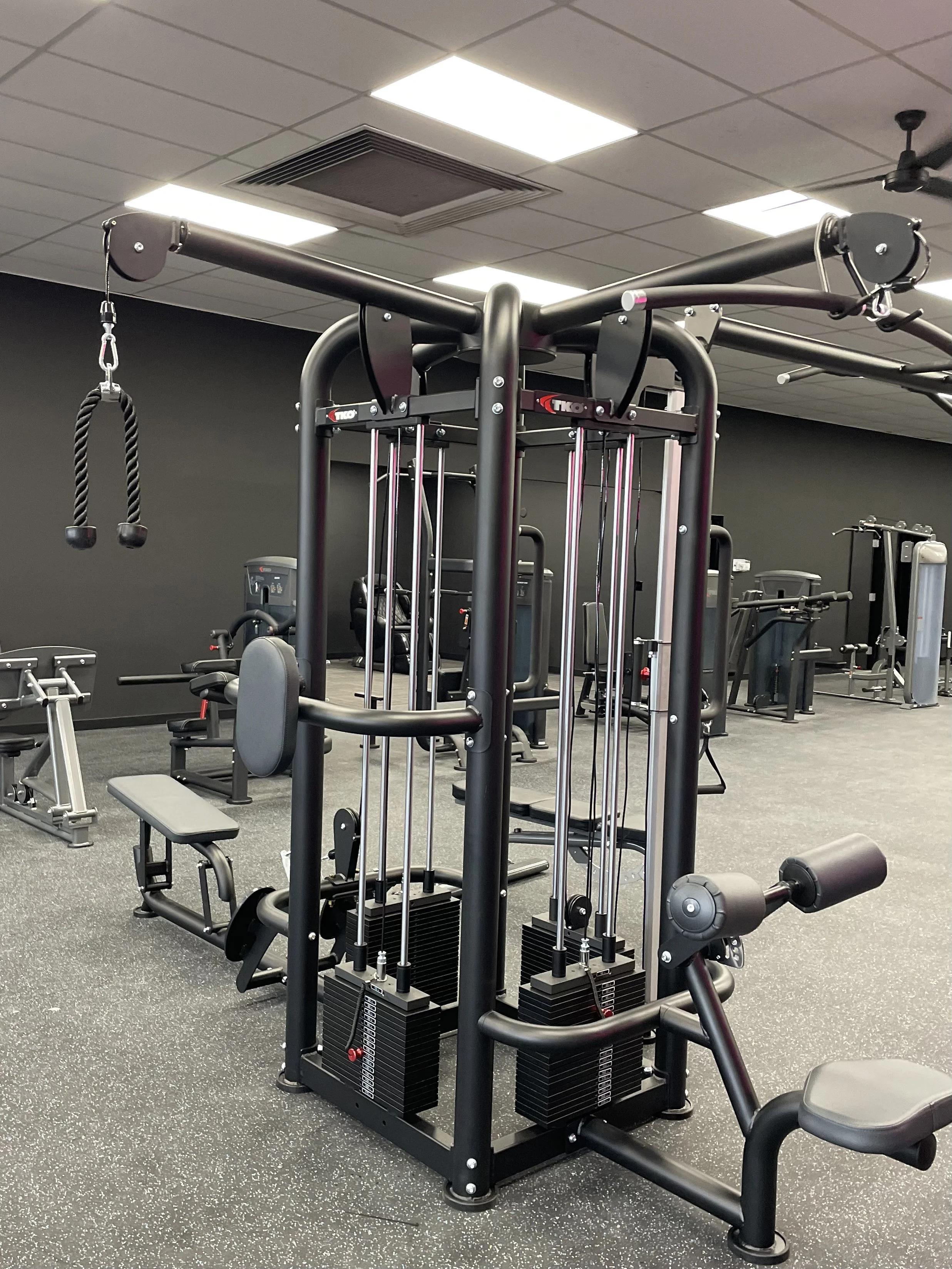 Services — The Muscle Bar