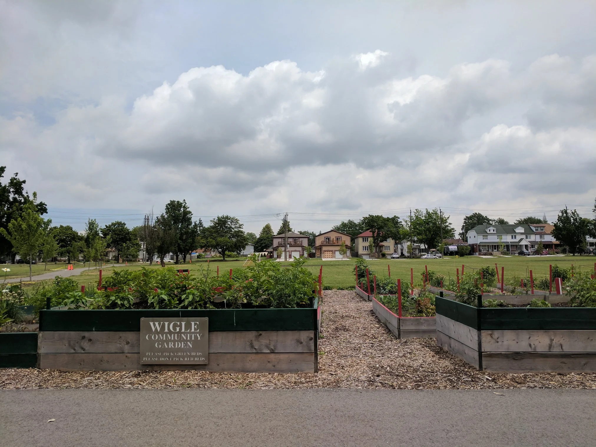 Downtown Windsor Community Collaberative