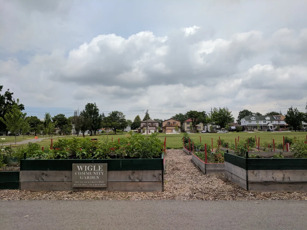 Downtown Windsor Community Collaberative