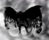 5 Cryptids for Well-Traveled Lovers of the Macabre