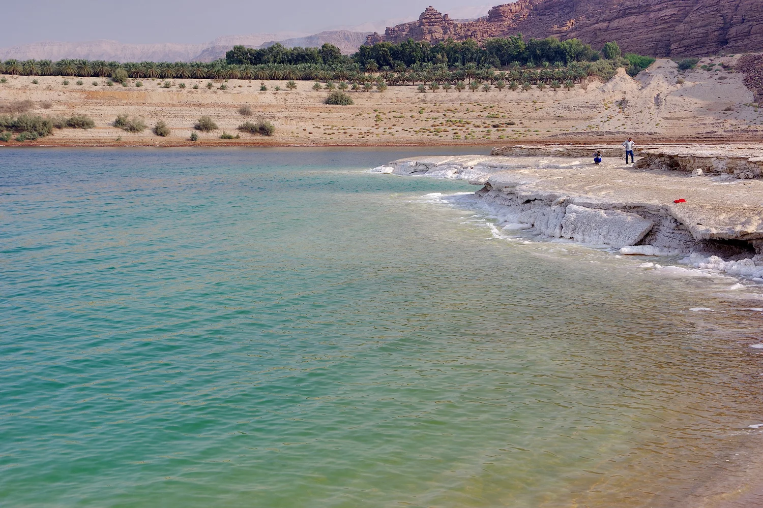 From Diverted Water Flow to Shrinking Availability, What is Killing the ...