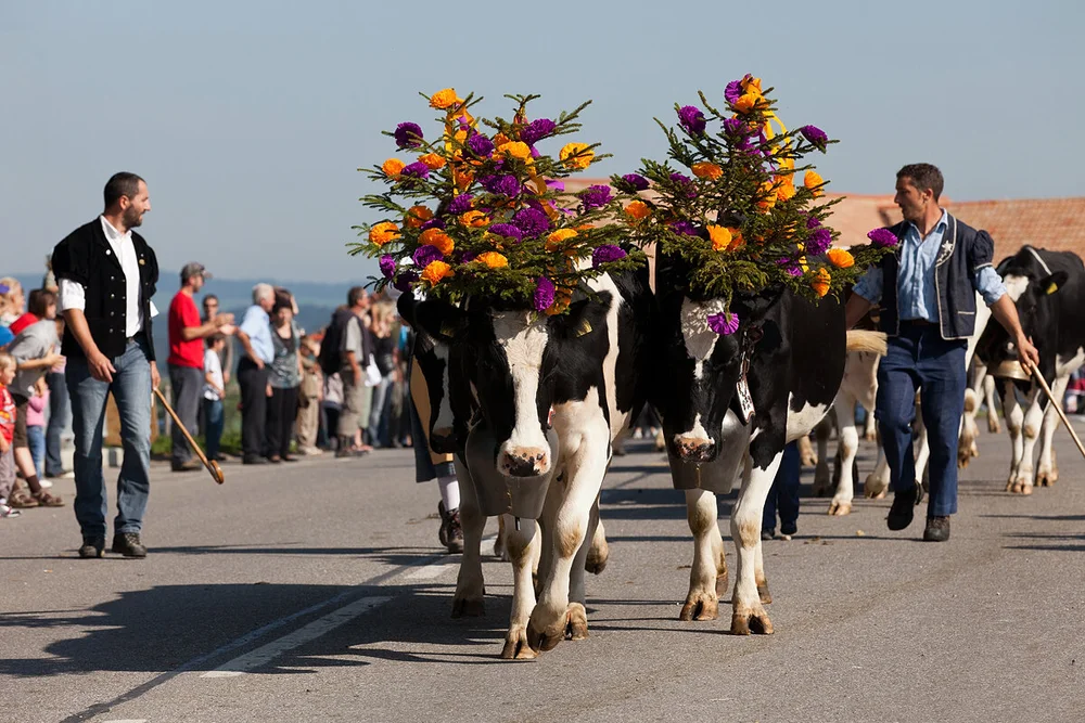10 Animal Festivals From Around the World That You’ve Likely Never Heard Of