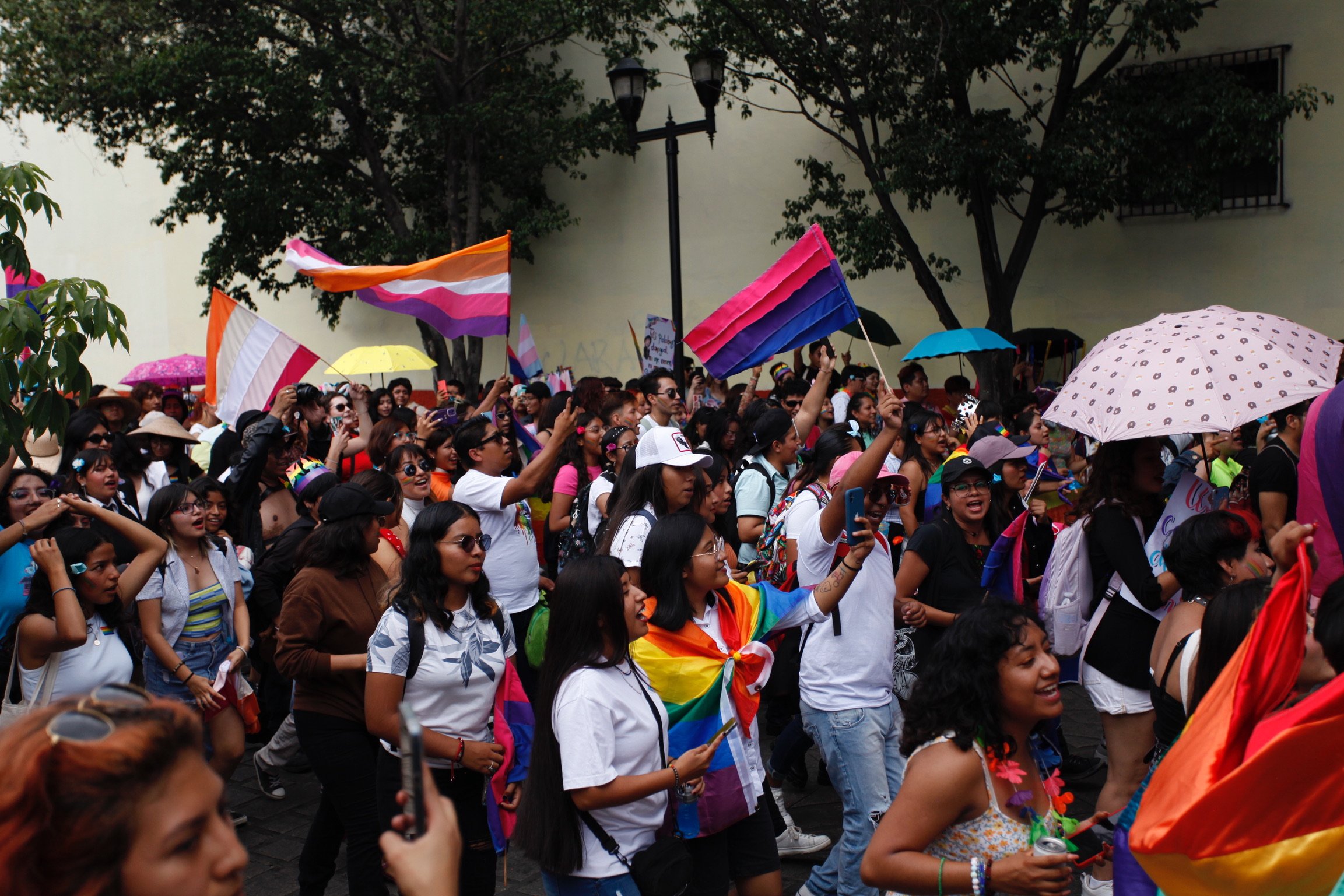 CATALYST PLANET - Celebrate Pride at Oaxaca’s Annual Parade this June