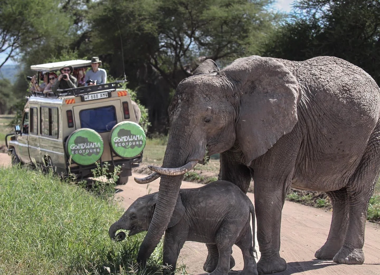 The 8 Best Sustainable Travel Companies