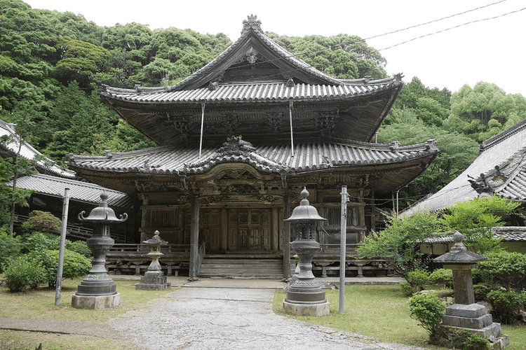 Matcha's Roots: The Legacy of Japan's First Tea Tree