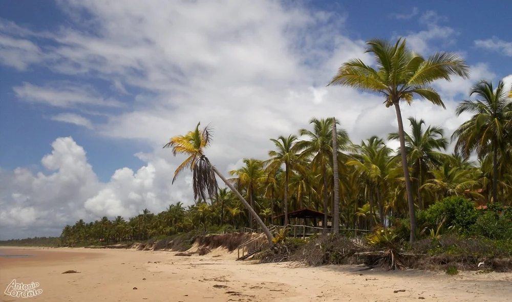 Eco-Villages: 6 Unique Communities Embracing Sustainability