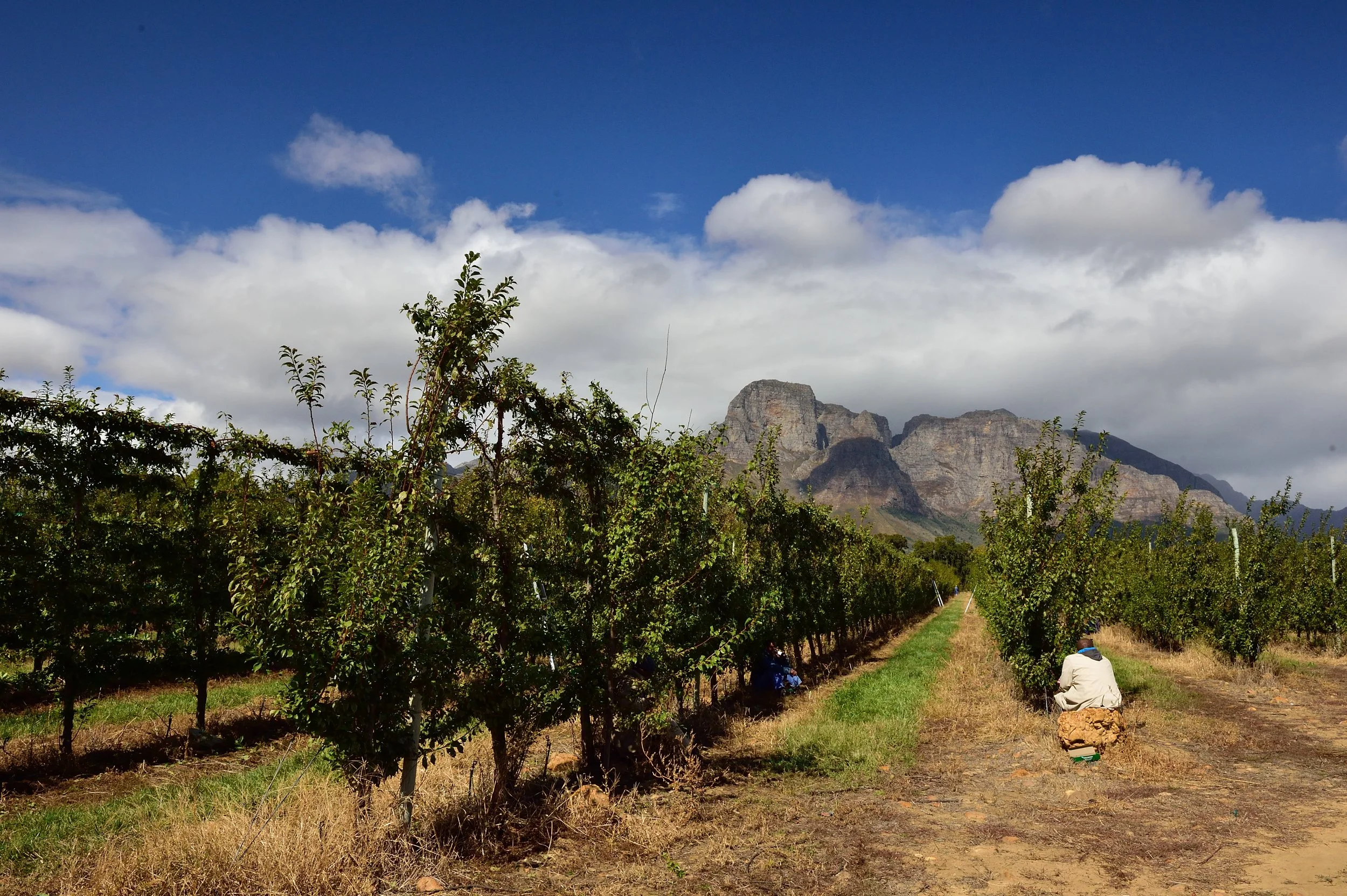 WWOOF: Live, Work and Farm for Free Around the World