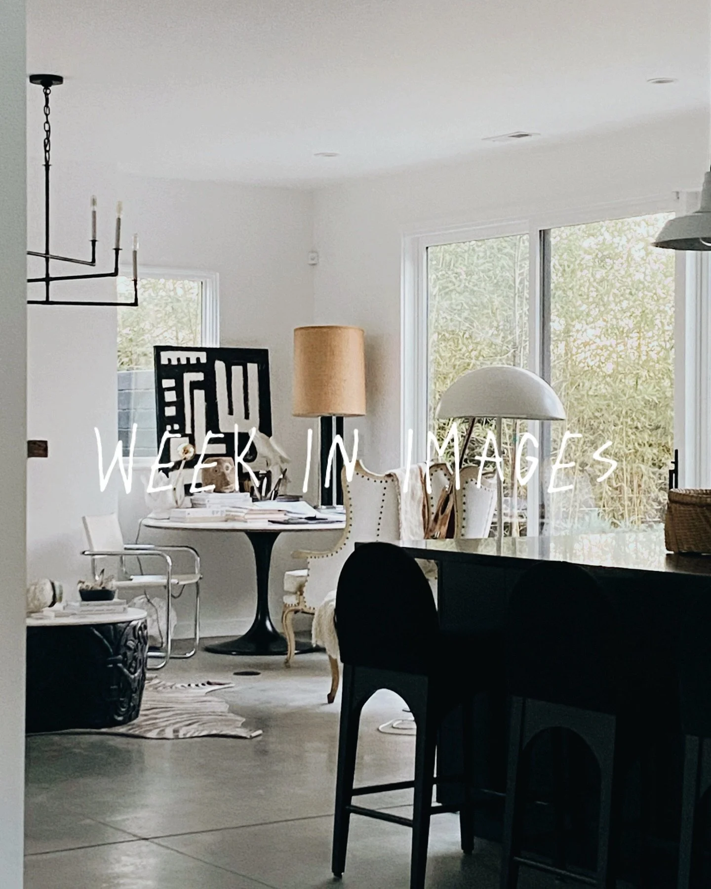 Michel Van Devender | Explore Unique Creations