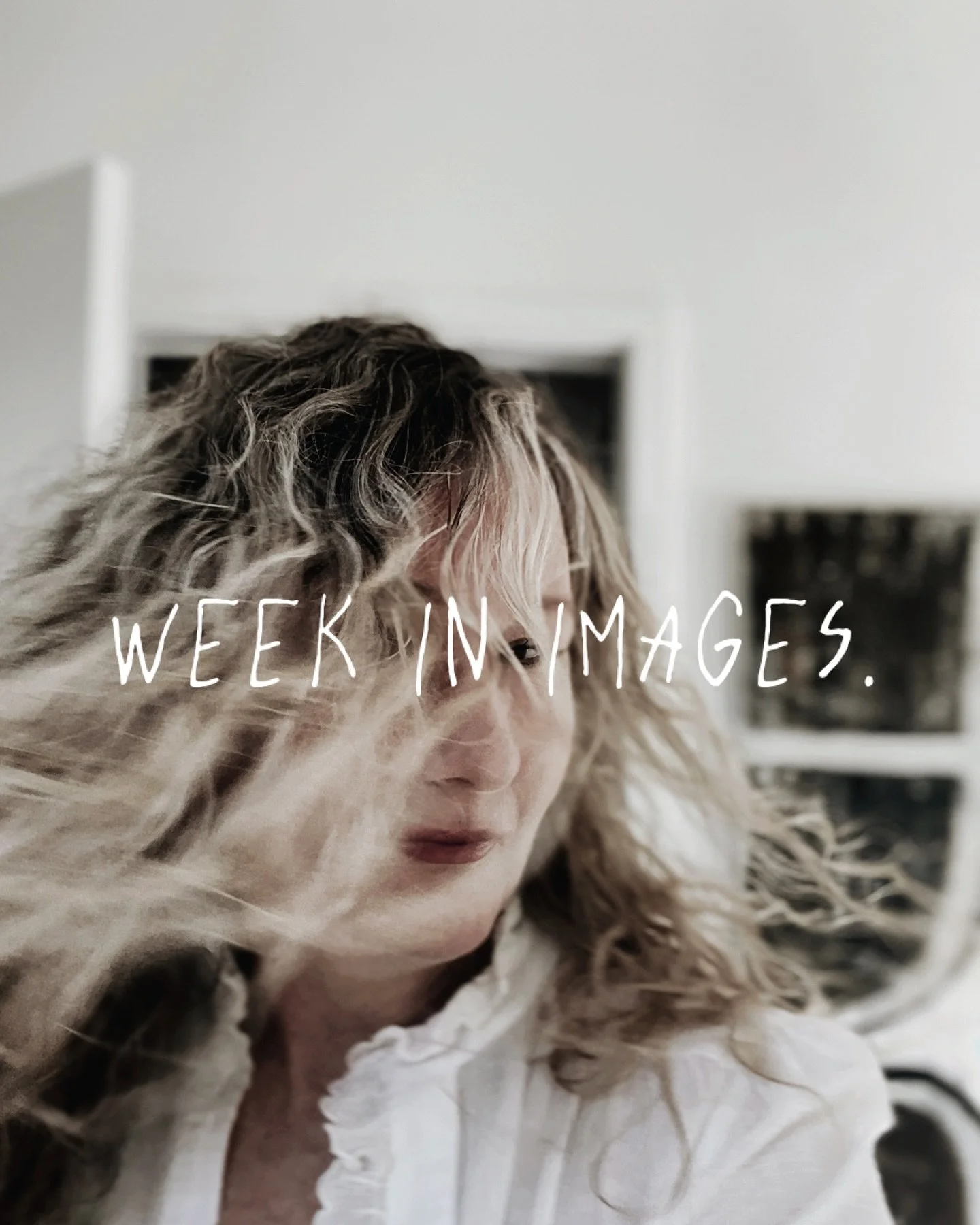 Michel Van Devender | Explore Unique Creations