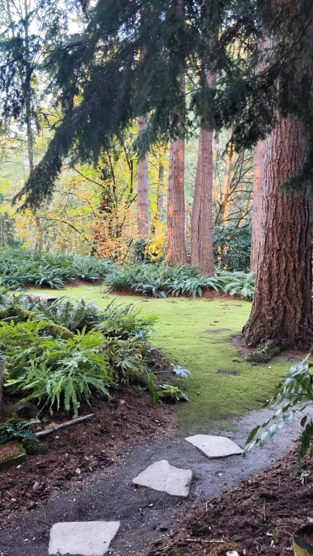 PowellsWood Garden- Botanical Oasis in Federal Way, WA