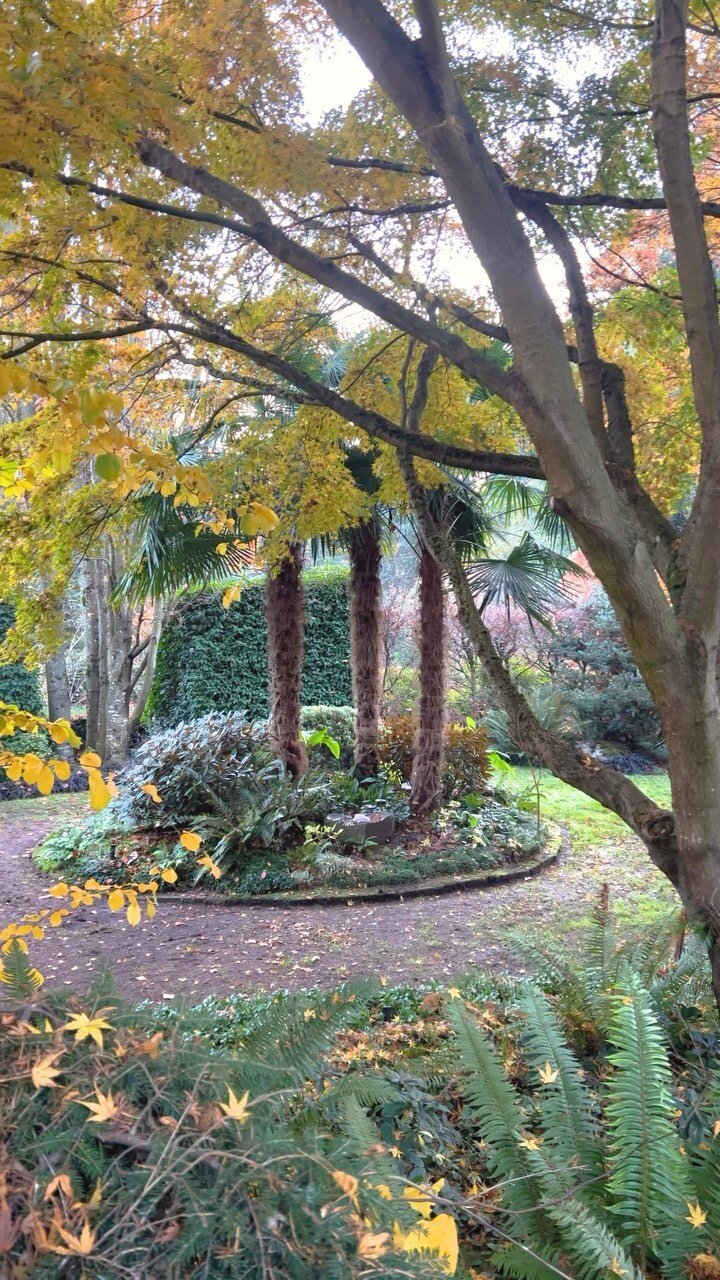 PowellsWood Garden- Botanical Oasis in Federal Way, WA