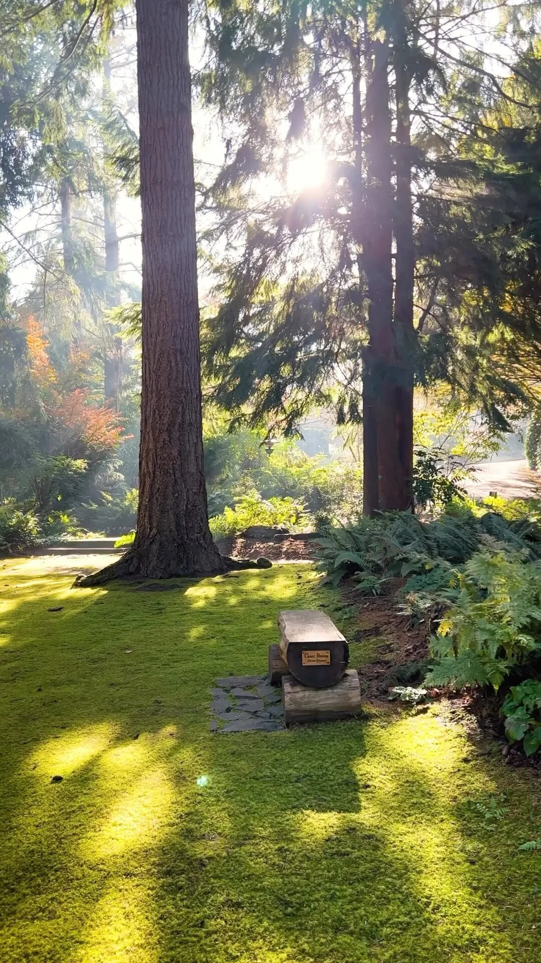 PowellsWood Garden- Botanical Oasis in Federal Way, WA