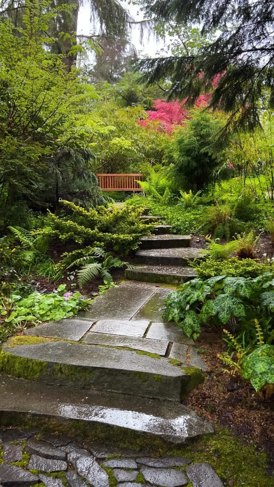 PowellsWood Garden- Botanical Oasis in Federal Way, WA