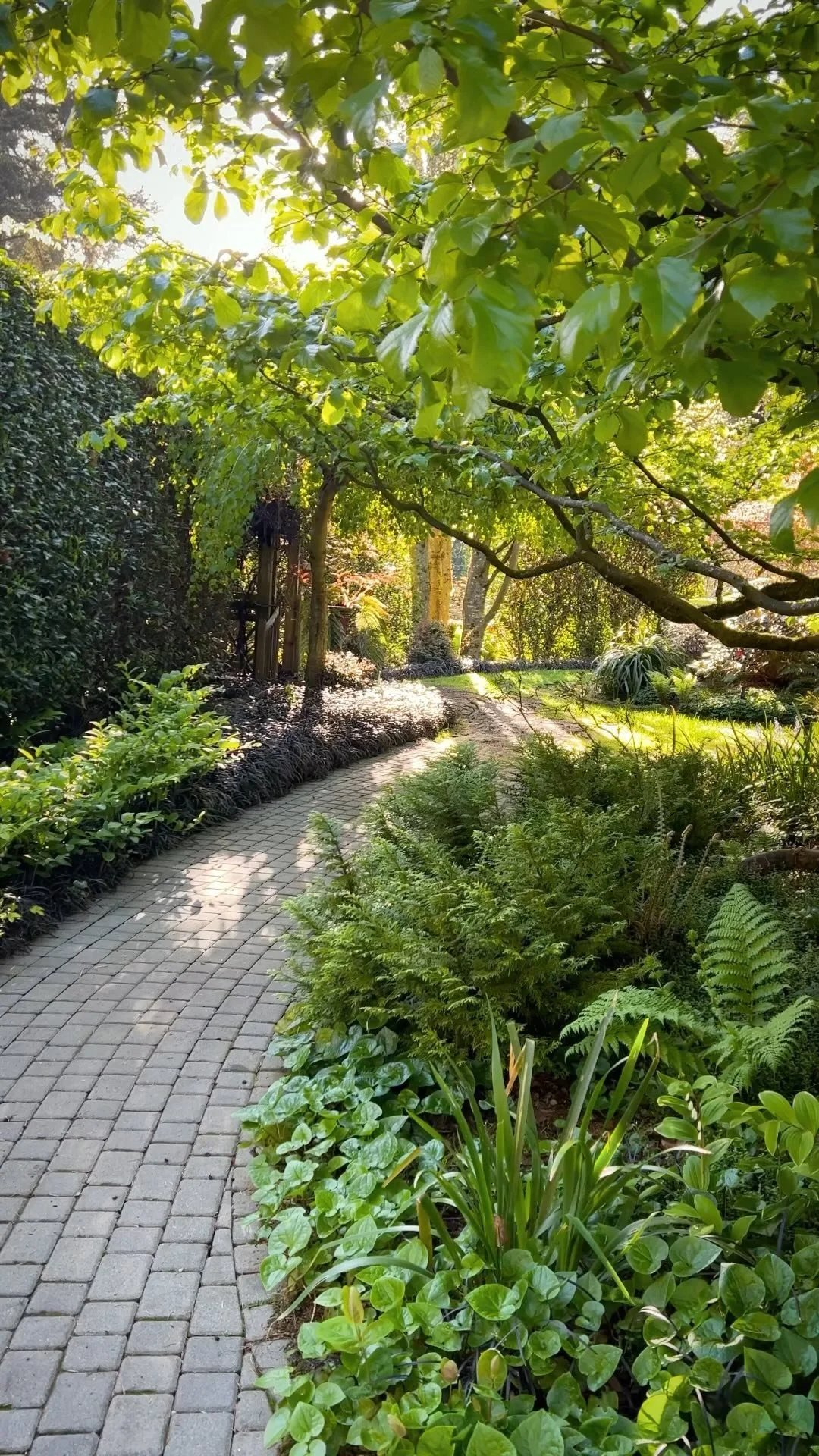 PowellsWood Garden- Botanical Oasis in Federal Way, WA