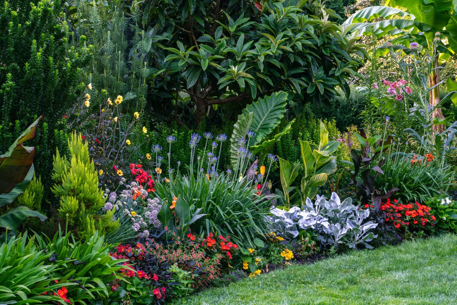 PowellsWood Garden- Botanical Oasis in Federal Way, WA