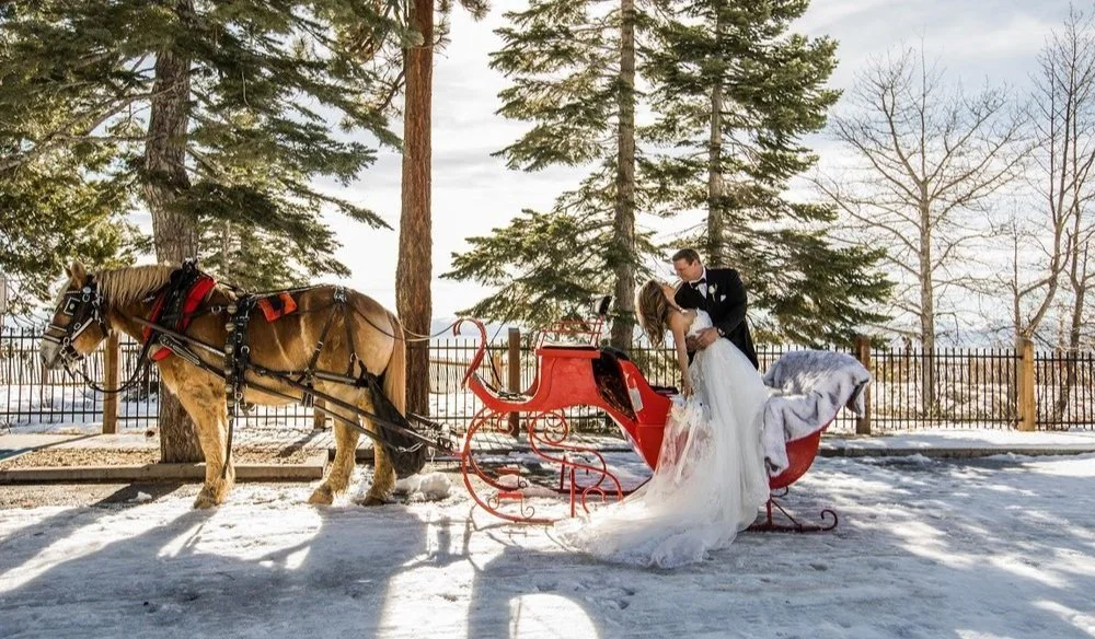 Borges Sleigh and Carriage Rides - Sleigh Rides at Sand Harbor State Park
