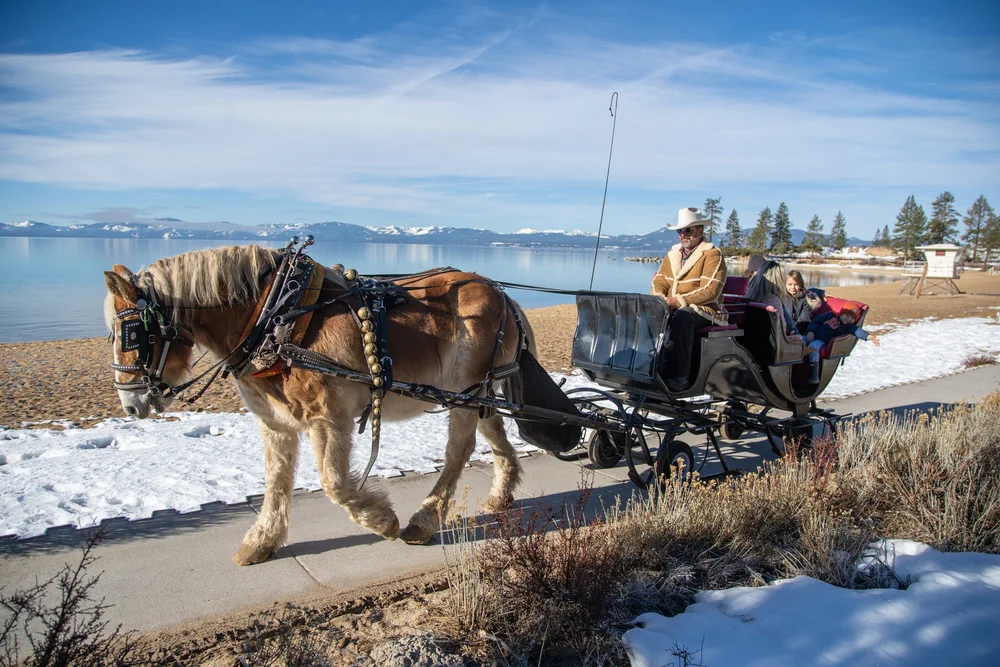 Borges Sleigh and Carriage Rides - Sleigh Rides at Sand Harbor State Park