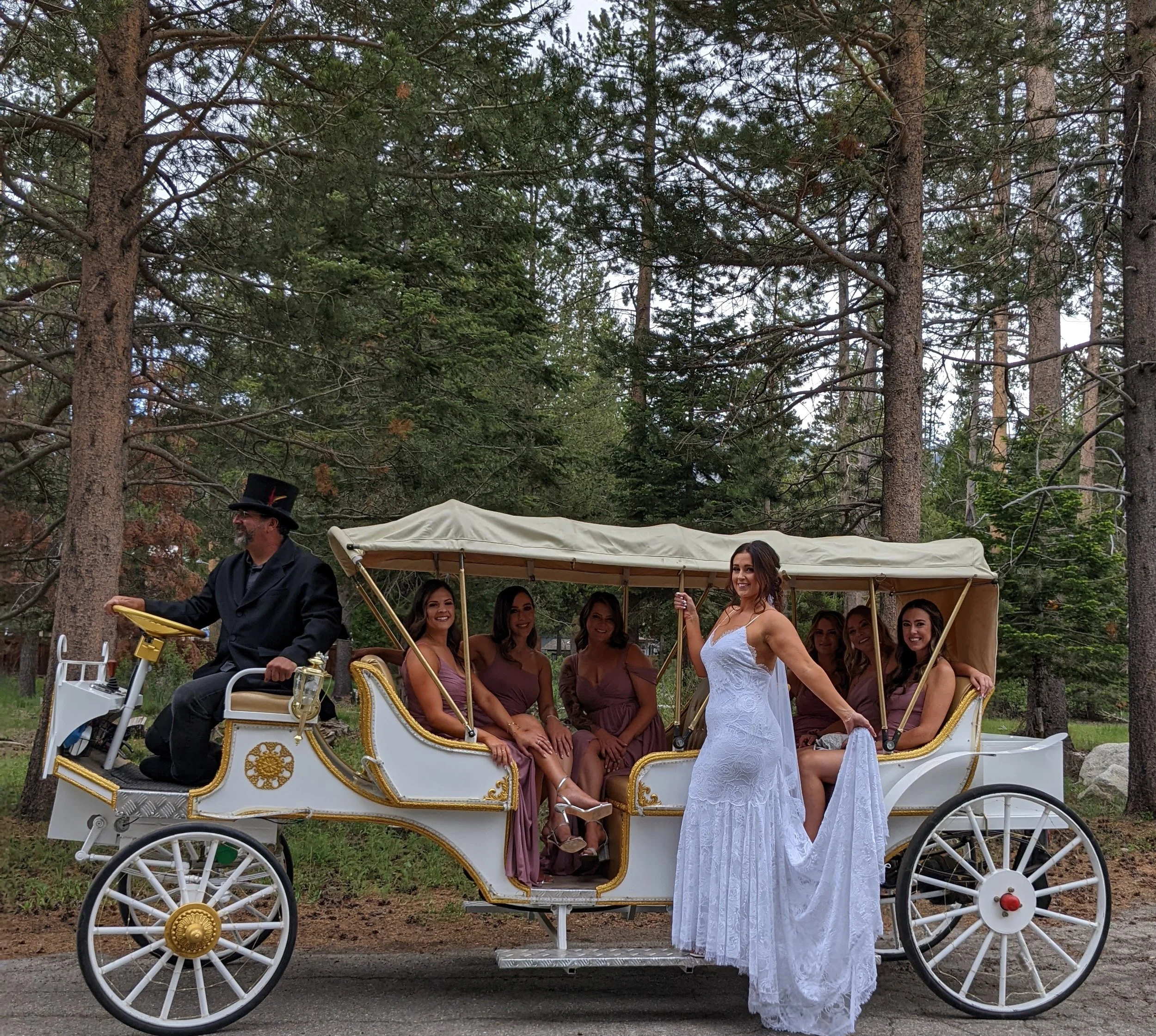 Borges Sleigh and Carriage Rides - Sleigh Rides at Sand Harbor State Park