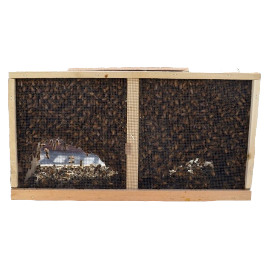 Ohio 3lb Bee Package