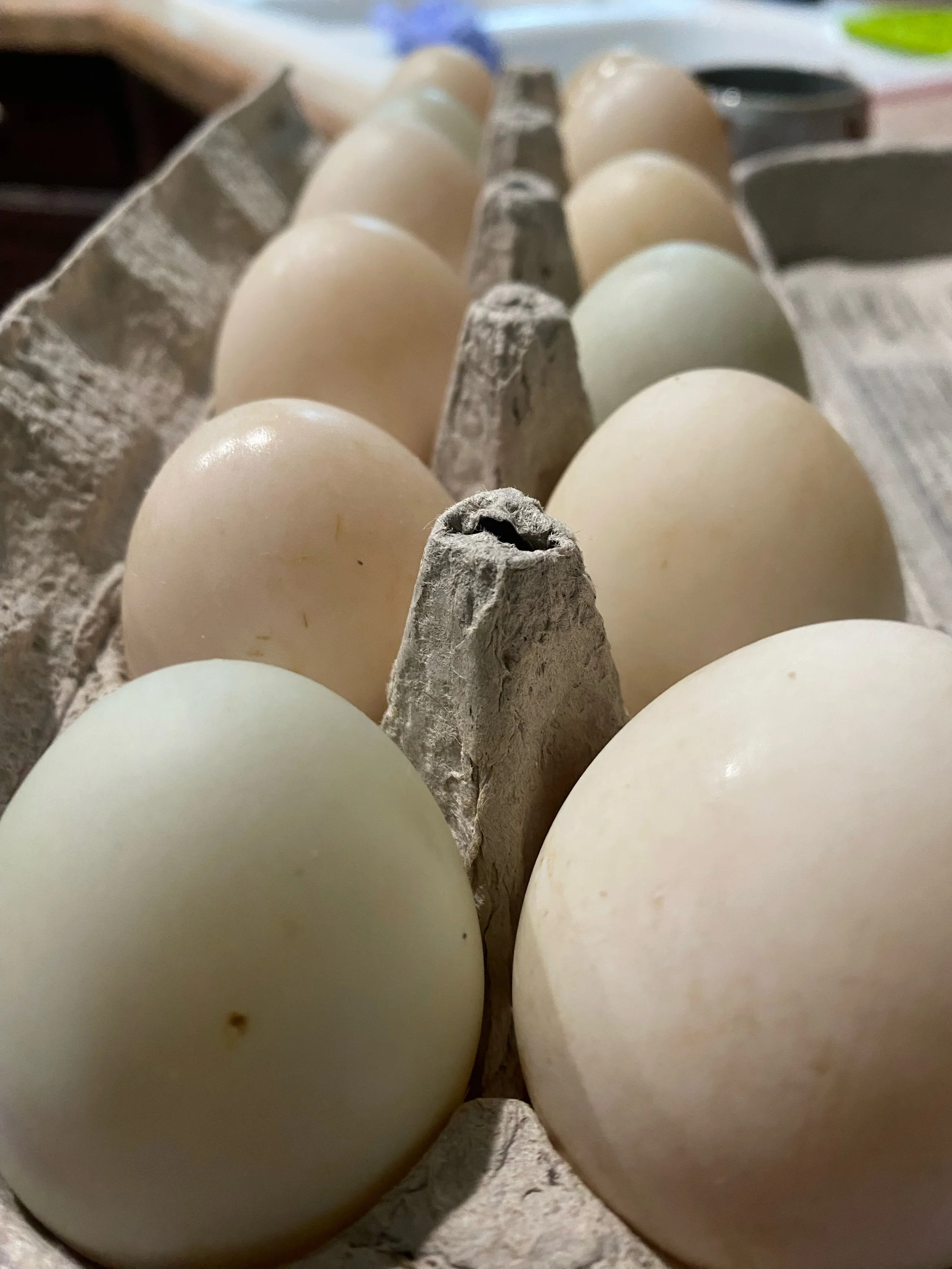 Shop With Us — Dear Table Farm