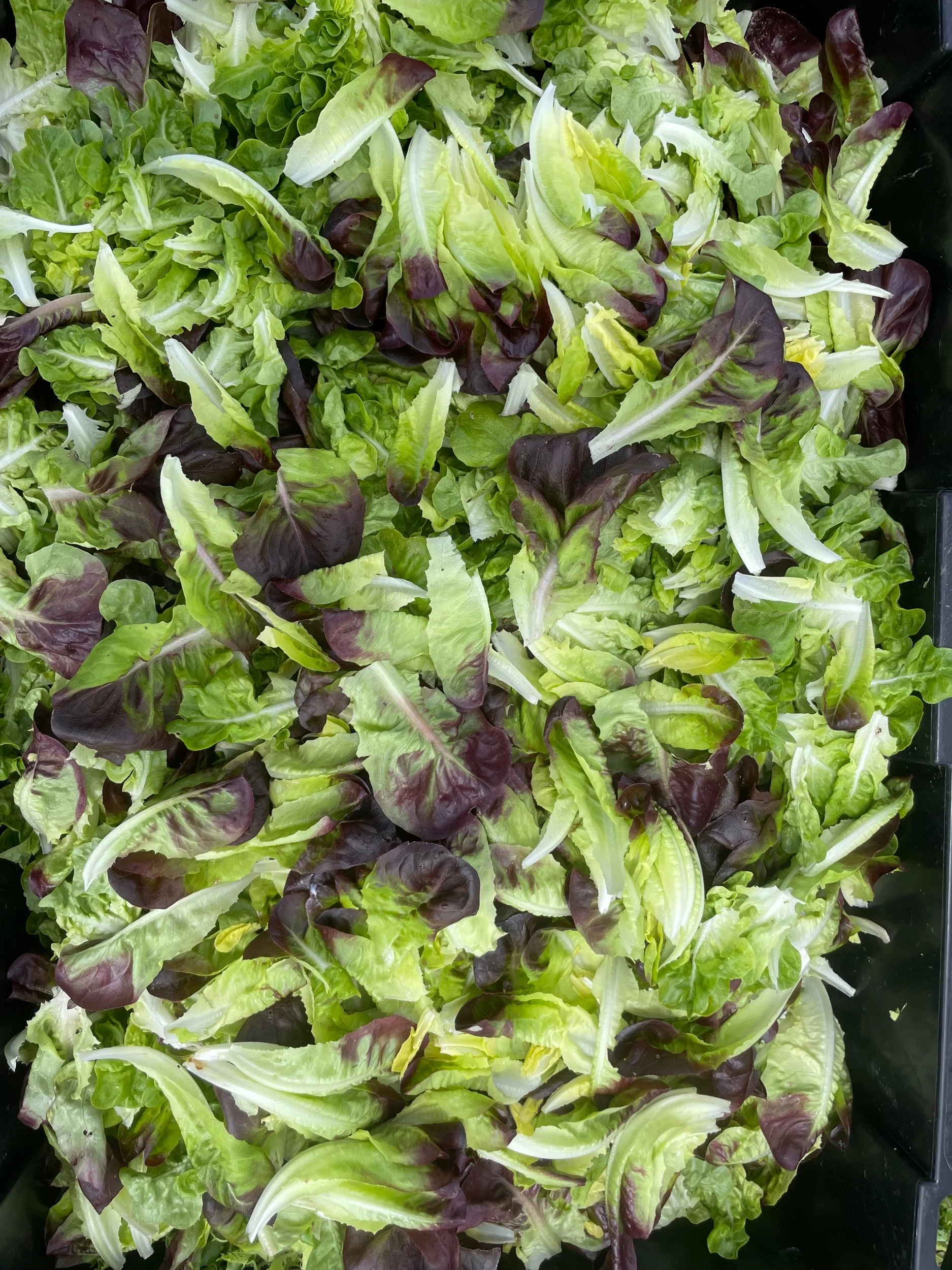 Shop With Us — Dear Table Farm