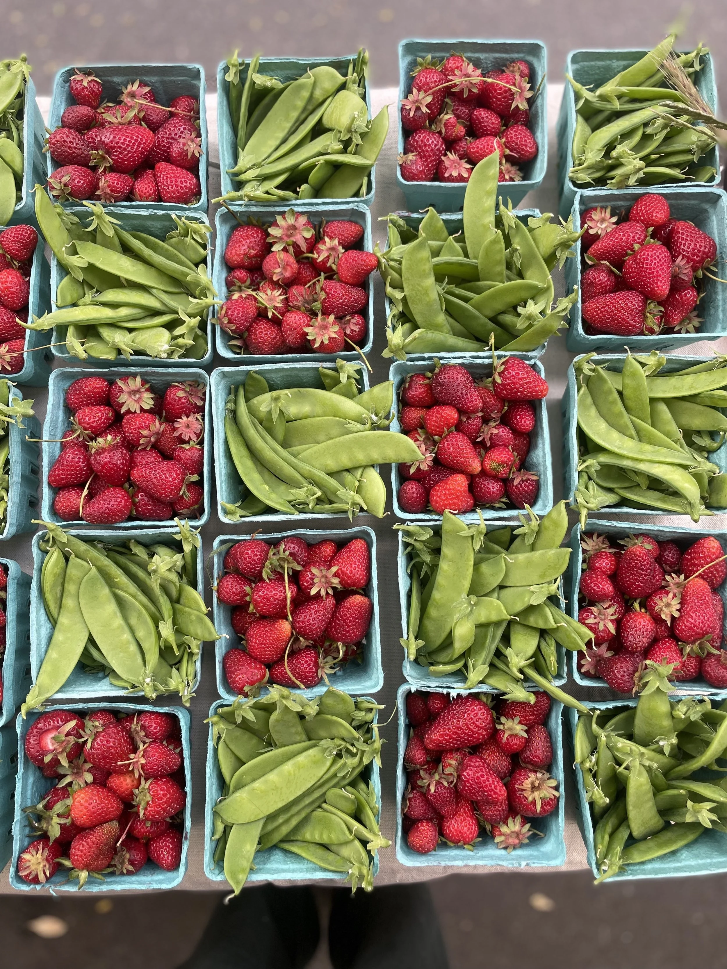 CSA — Dear Table Farm