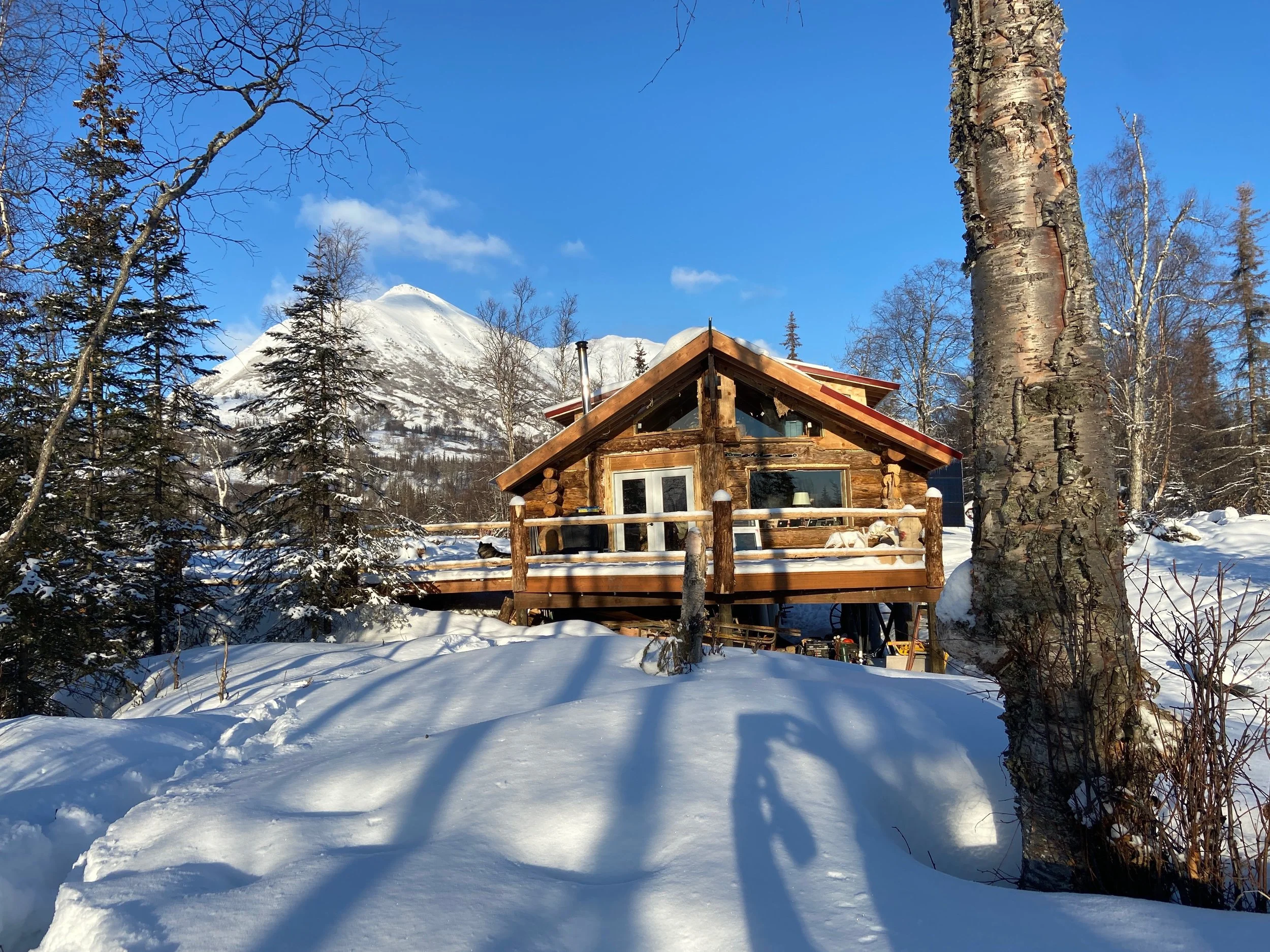 Homestead Life — Marty Raney | Official Website