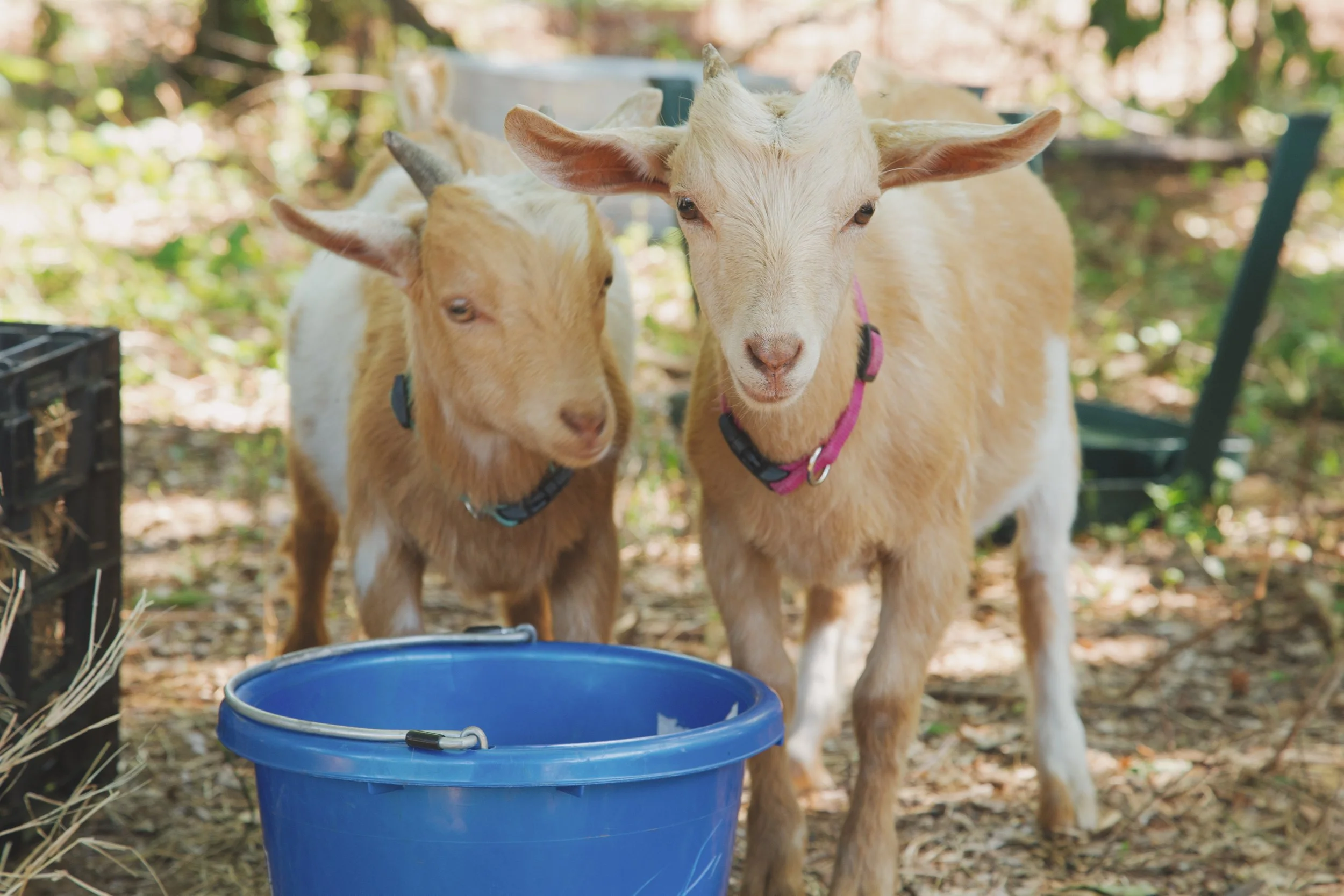 Gallery | Atlanta Utility Works