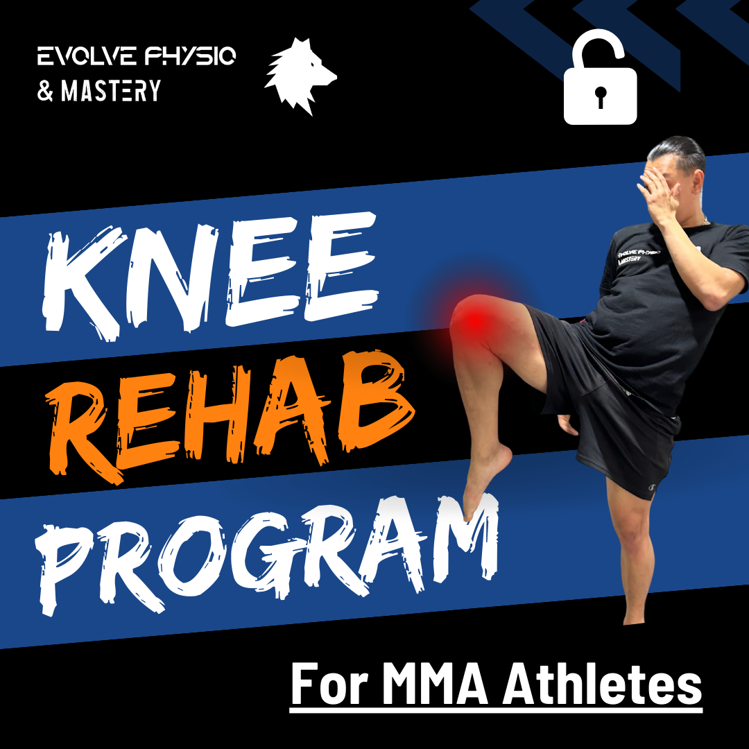 Martial Arts Development & Performance Program — Evolve Physiotherapy & Mastery