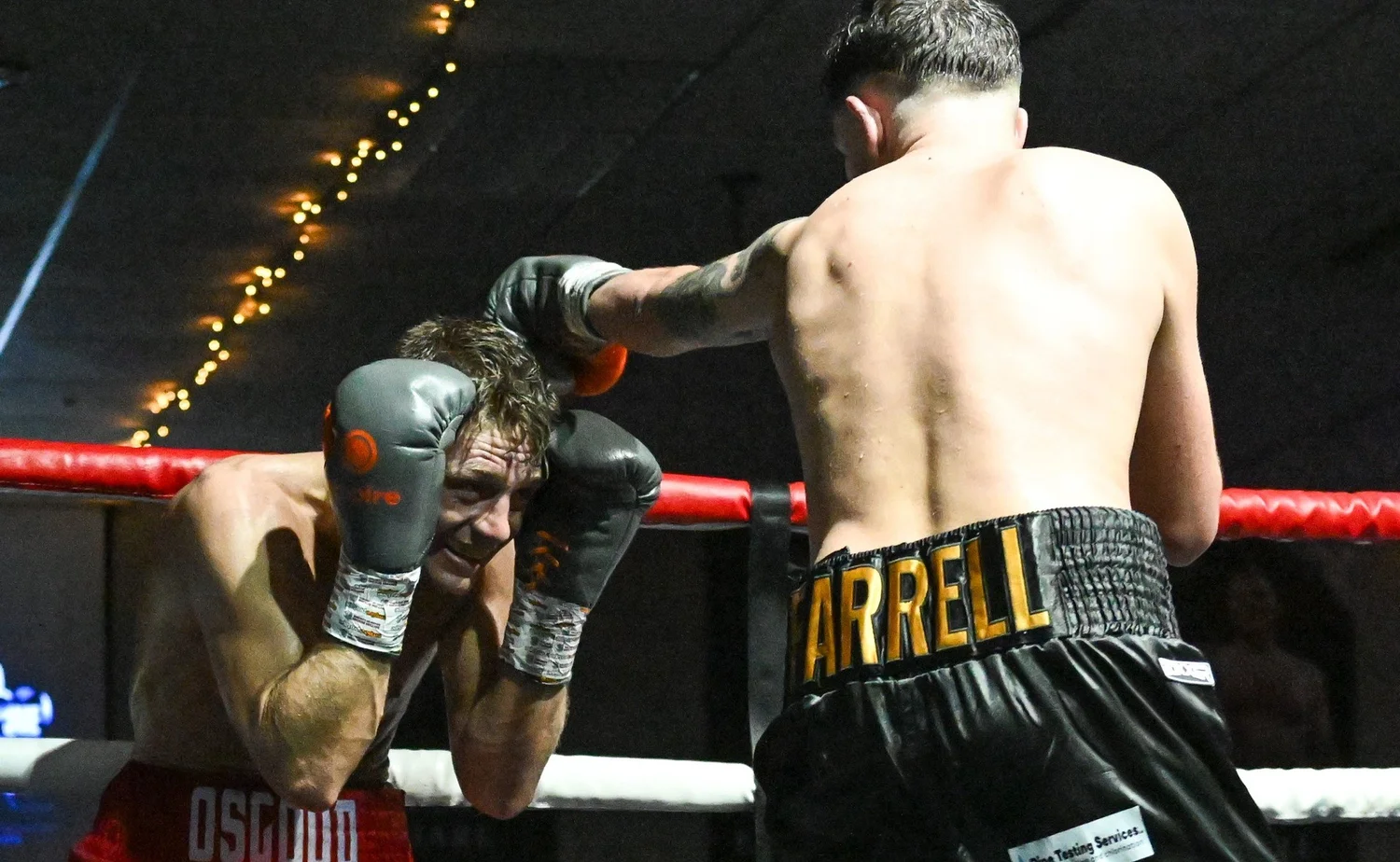 Farrell now needs to step up to title fights — Fight City