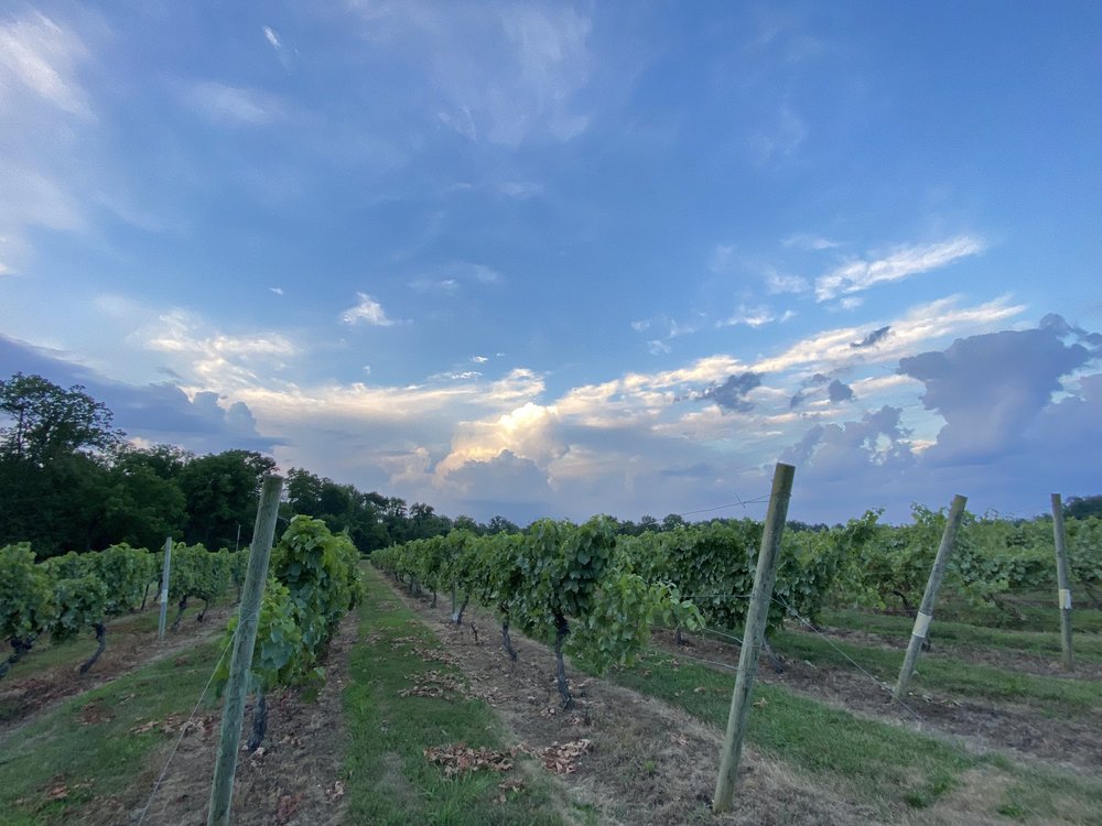 Wycombe Vineyards - Family Owned & Operated Estate Winery in Bucks ...