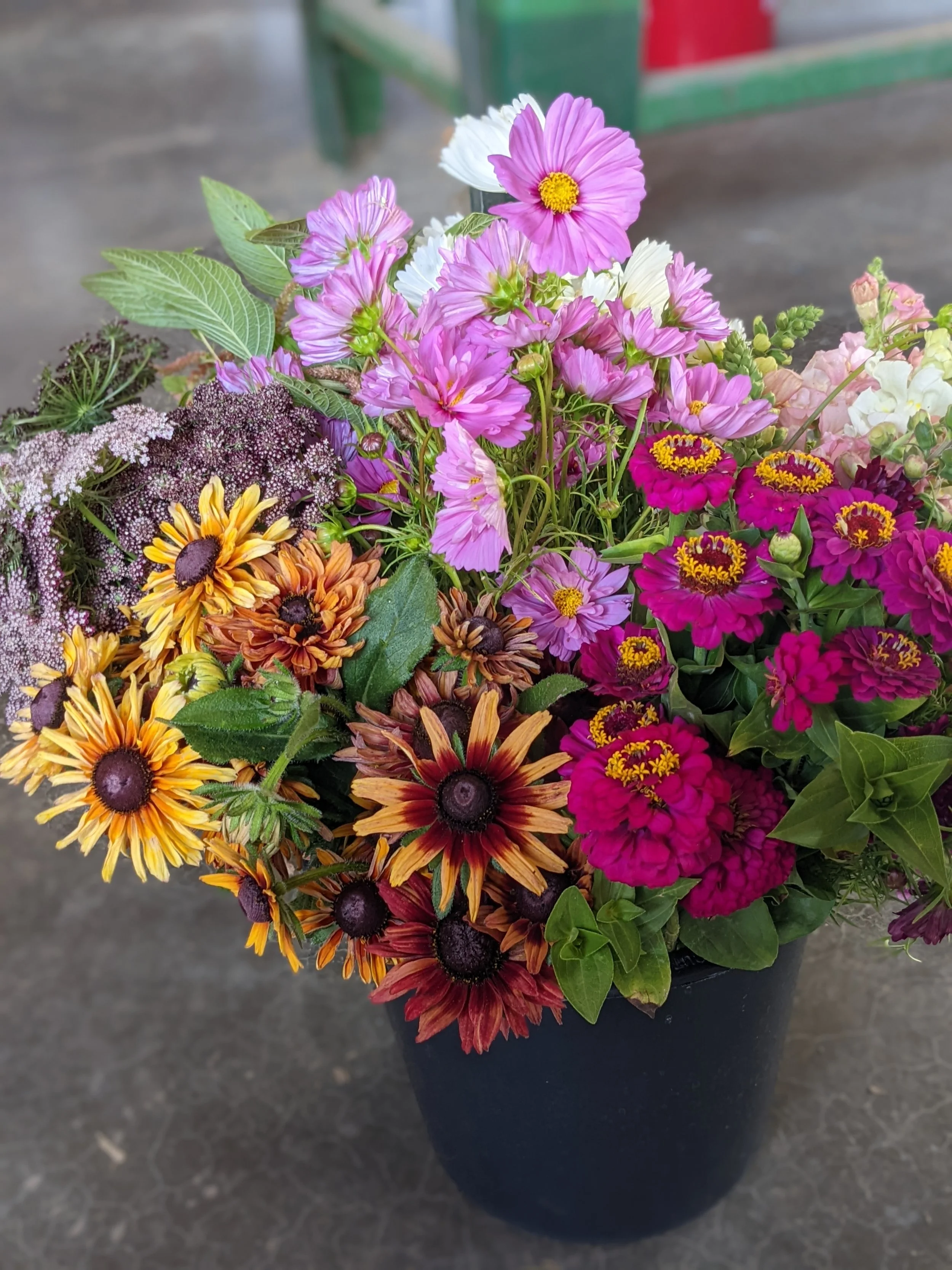 Flowers — Titusville Farm