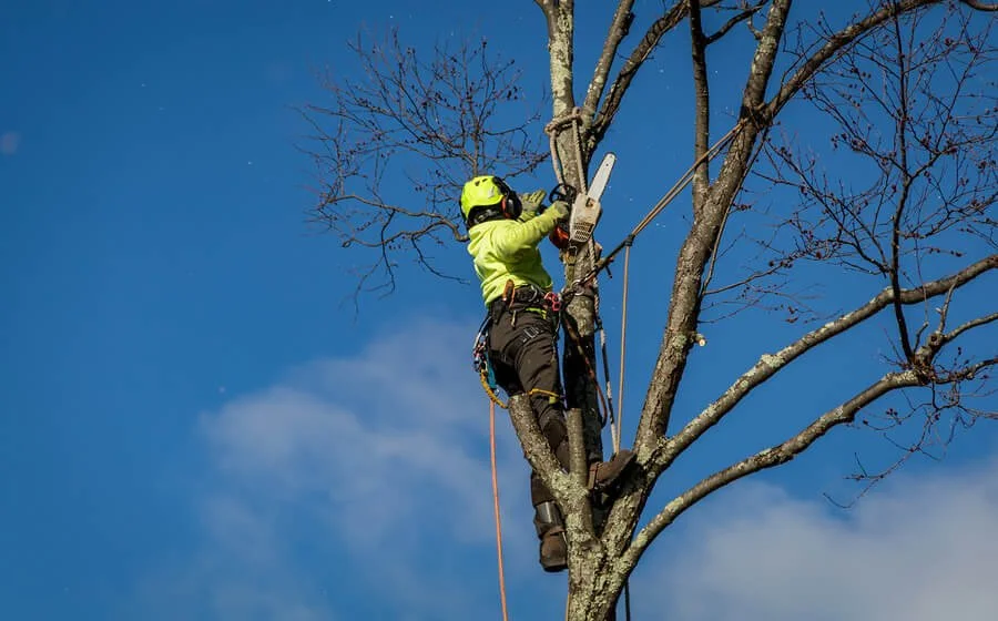 Contact Us — Johnson Tree Company