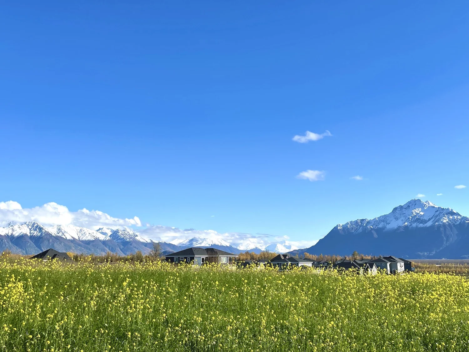 Photos | Discover Your Dream Home Today — View Pointe - The Ranch ...