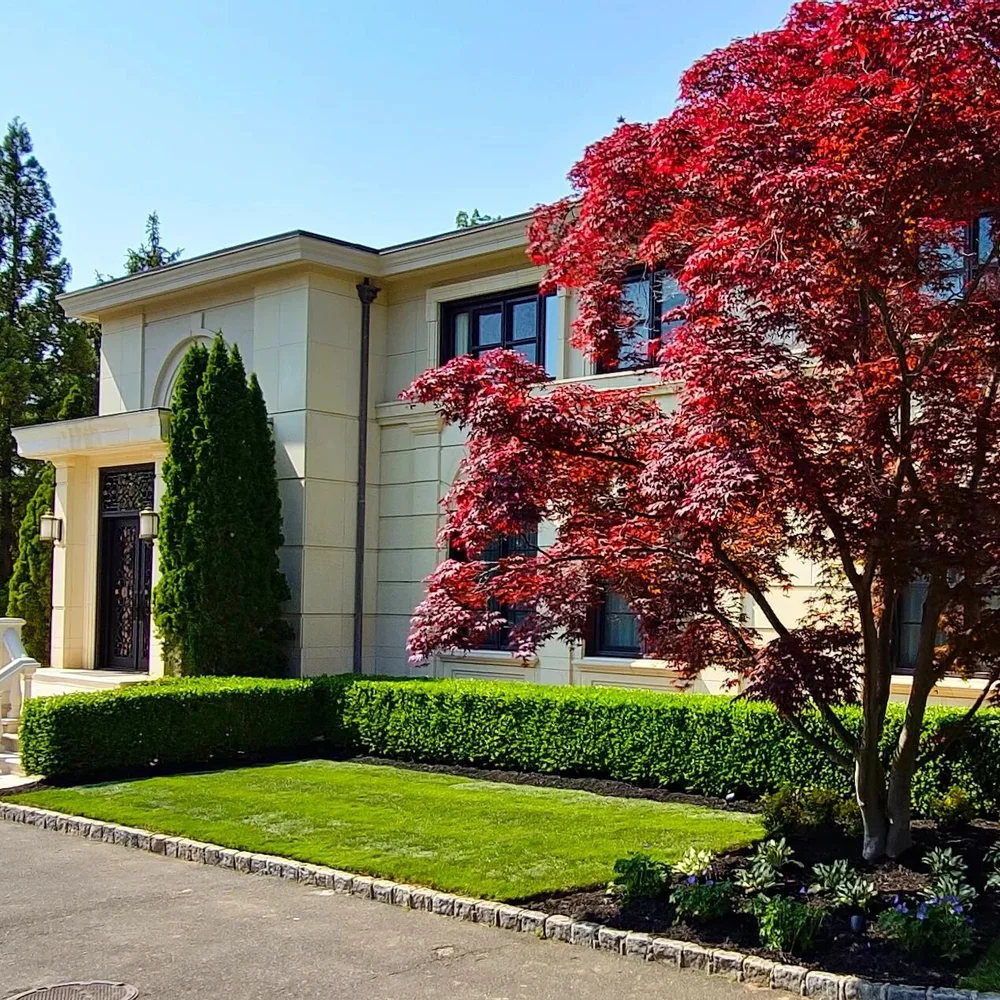About Design and Build landscape — DESIGN AND BUILD LANDSCAPE
