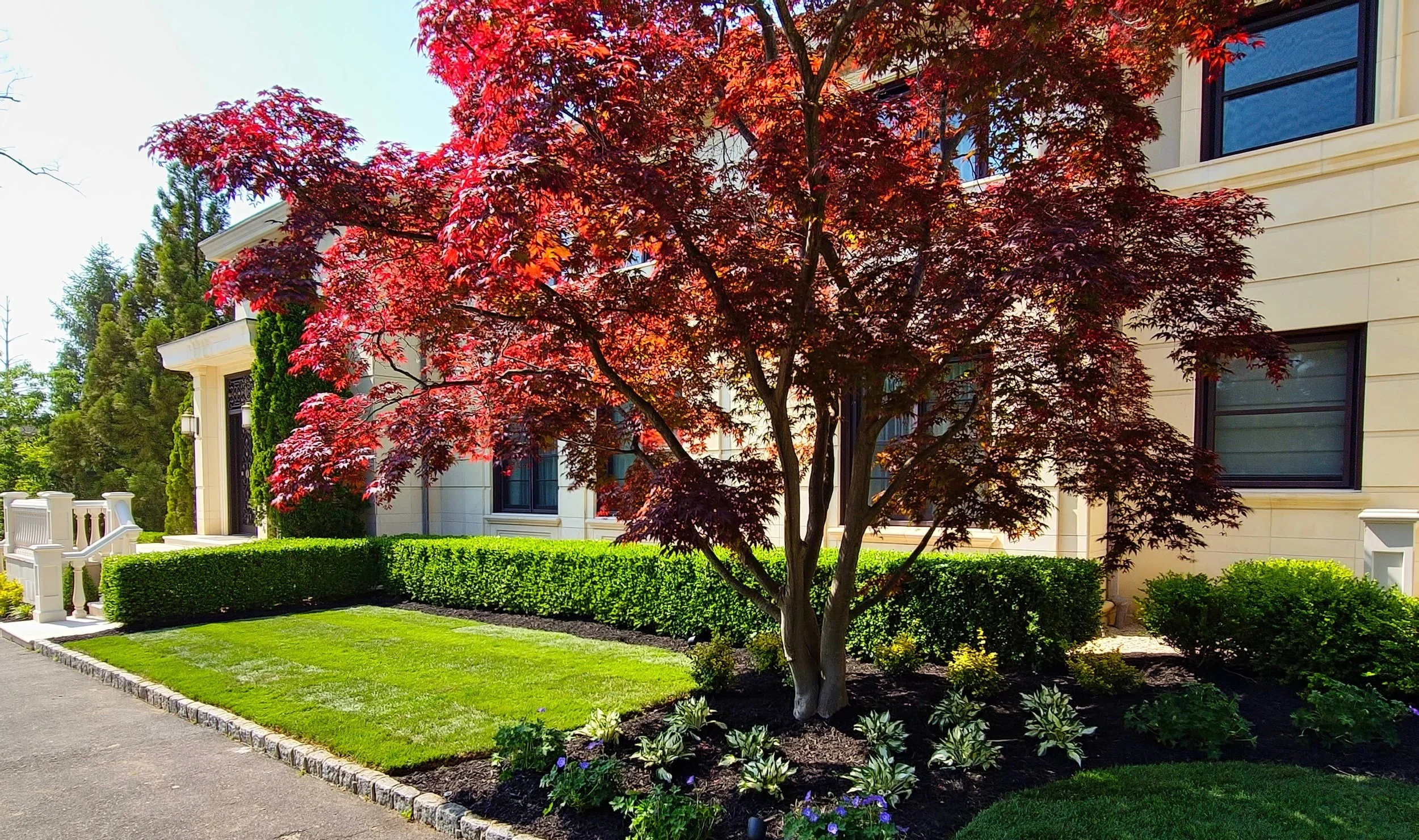 Front yard landscaping-Landscape Design-Long island NY — DESIGN AND ...