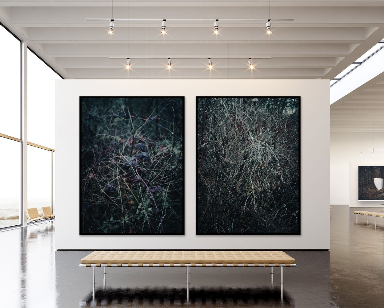 About — Quinton Gordon