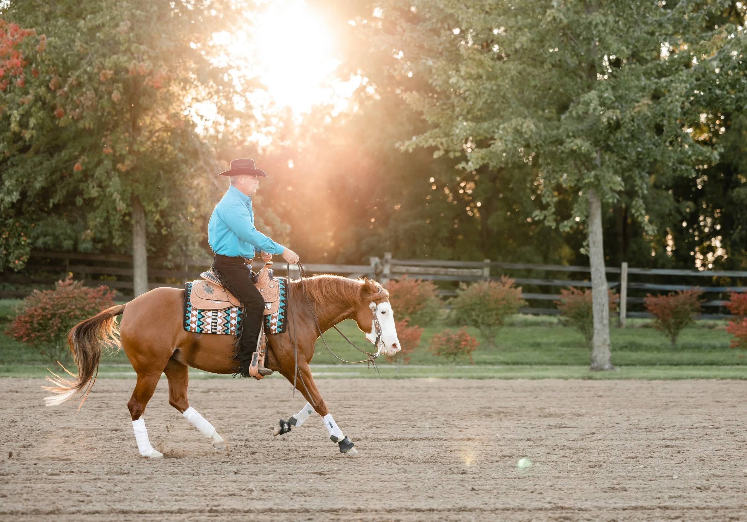 Book Equine — Meghan Noelle Photography