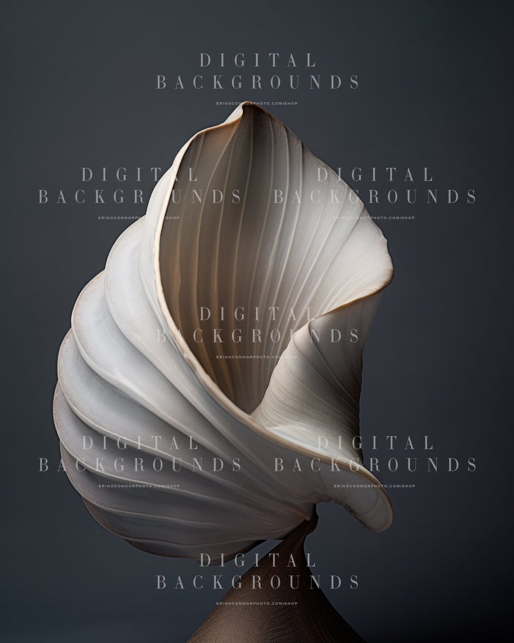 Dramatic Baroque Gold Arch Room Mockups and Digital Backdrops - Vintage ...