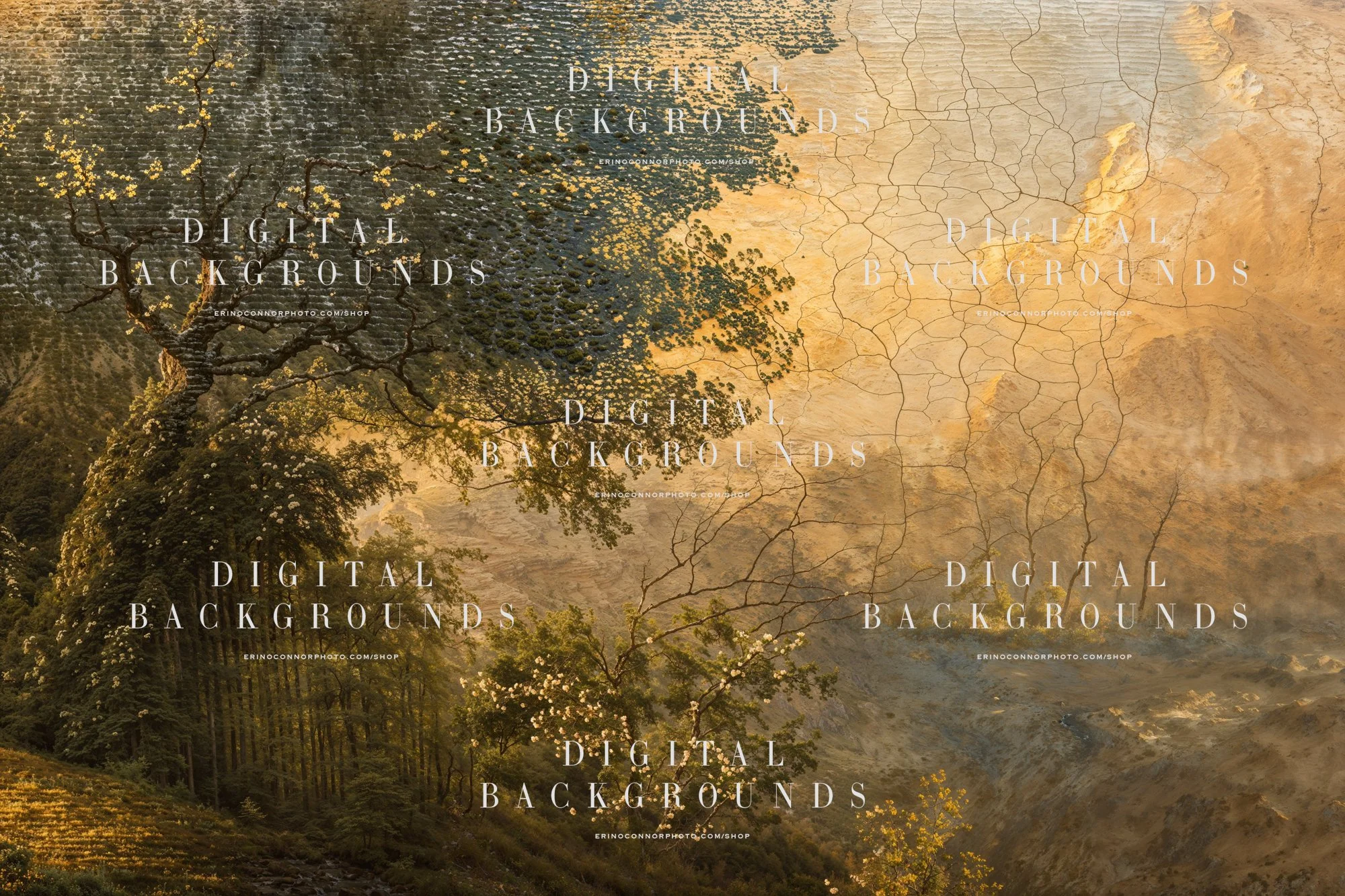 Dreamy Vintage Digital Backgrounds | The Best Digital Backdrops for ...