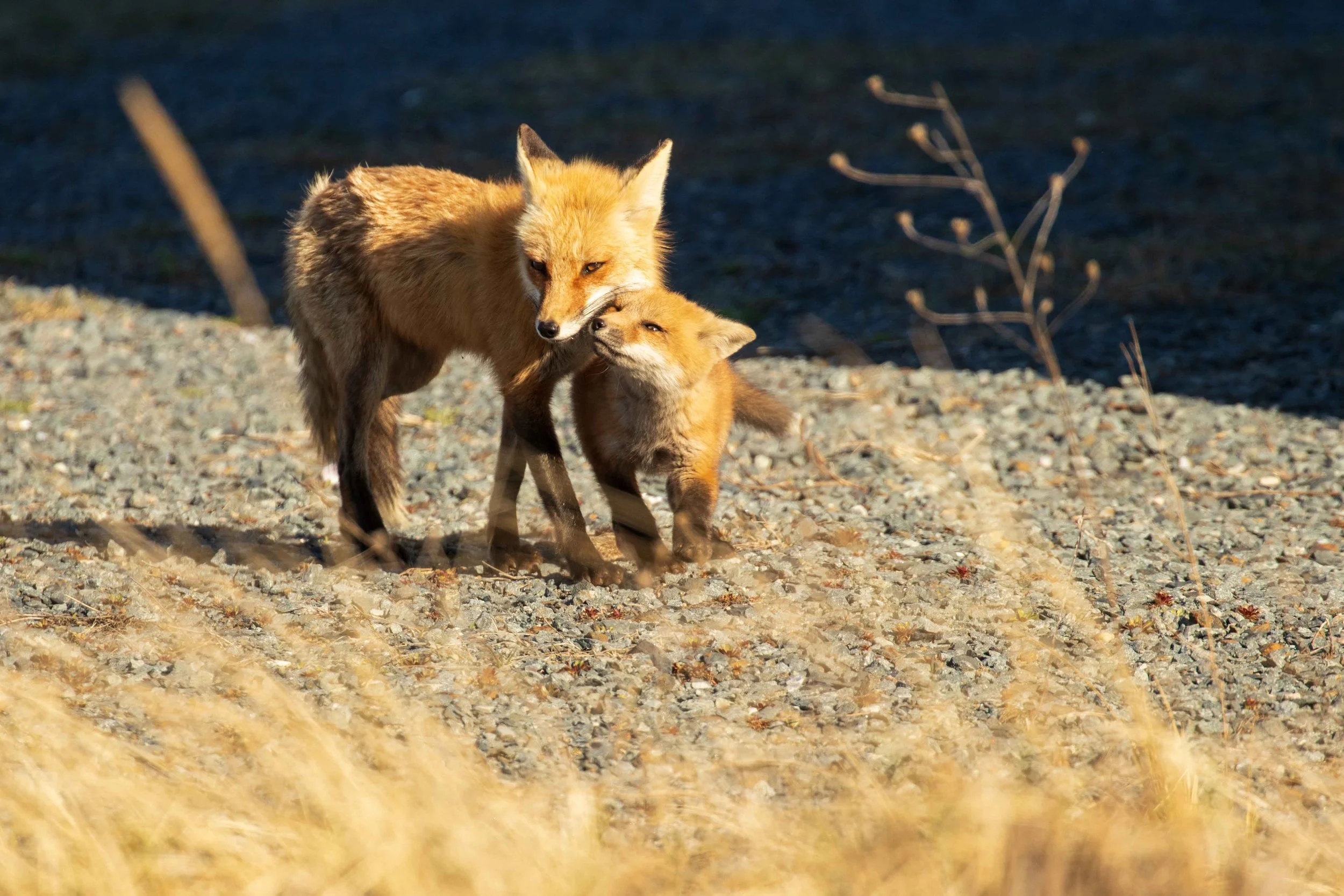 2024 Calendar Pictures — Nick Haveran Photography