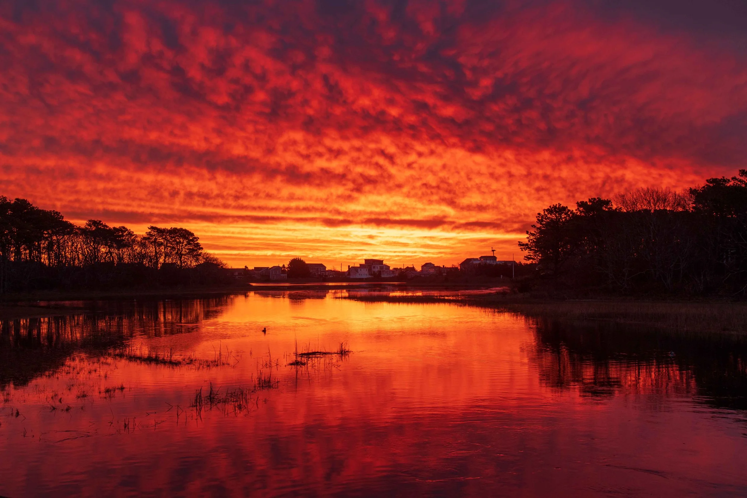 2024 Calendar Pictures — Nick Haveran Photography